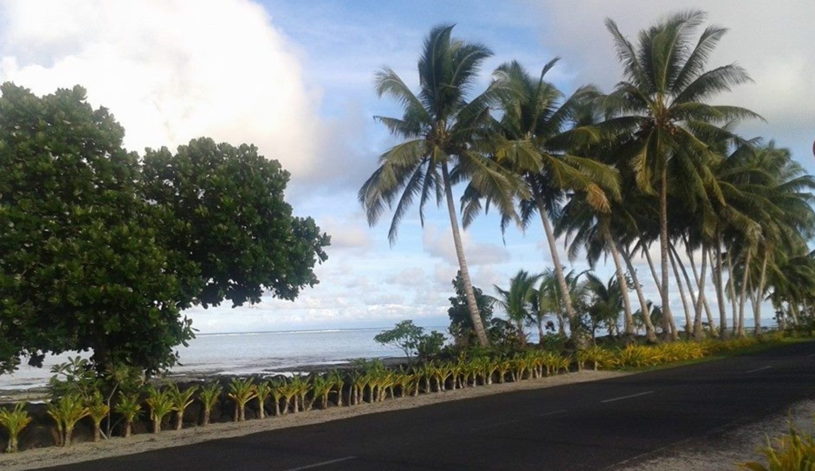 MotoSamoa Scooter Rental and Motorcycle Tours – see Samoa up close and ...